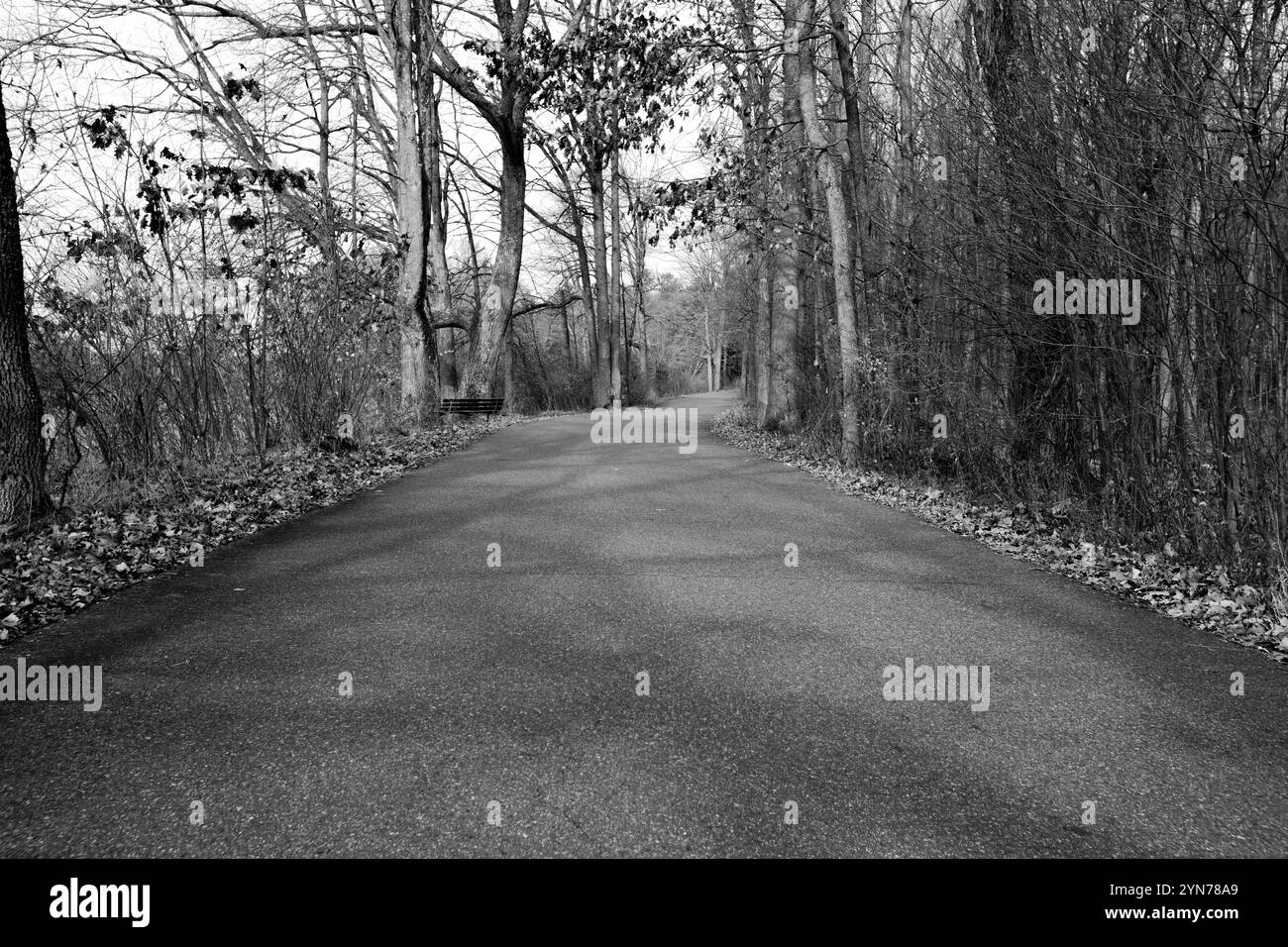 Council grounds state park hi-res stock photography and images - Alamy