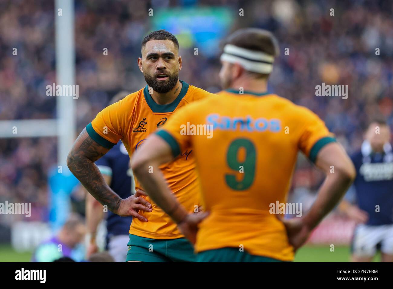 Edinburgh, Scotland. 24th November 2024. Lukhan Salakai-Loto in action ...