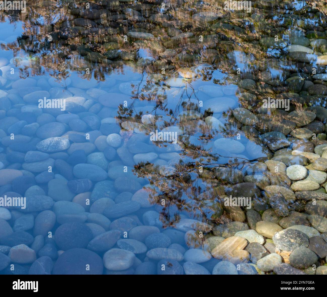 Multi-colored pebbles in the water Stock Photo - Alamy