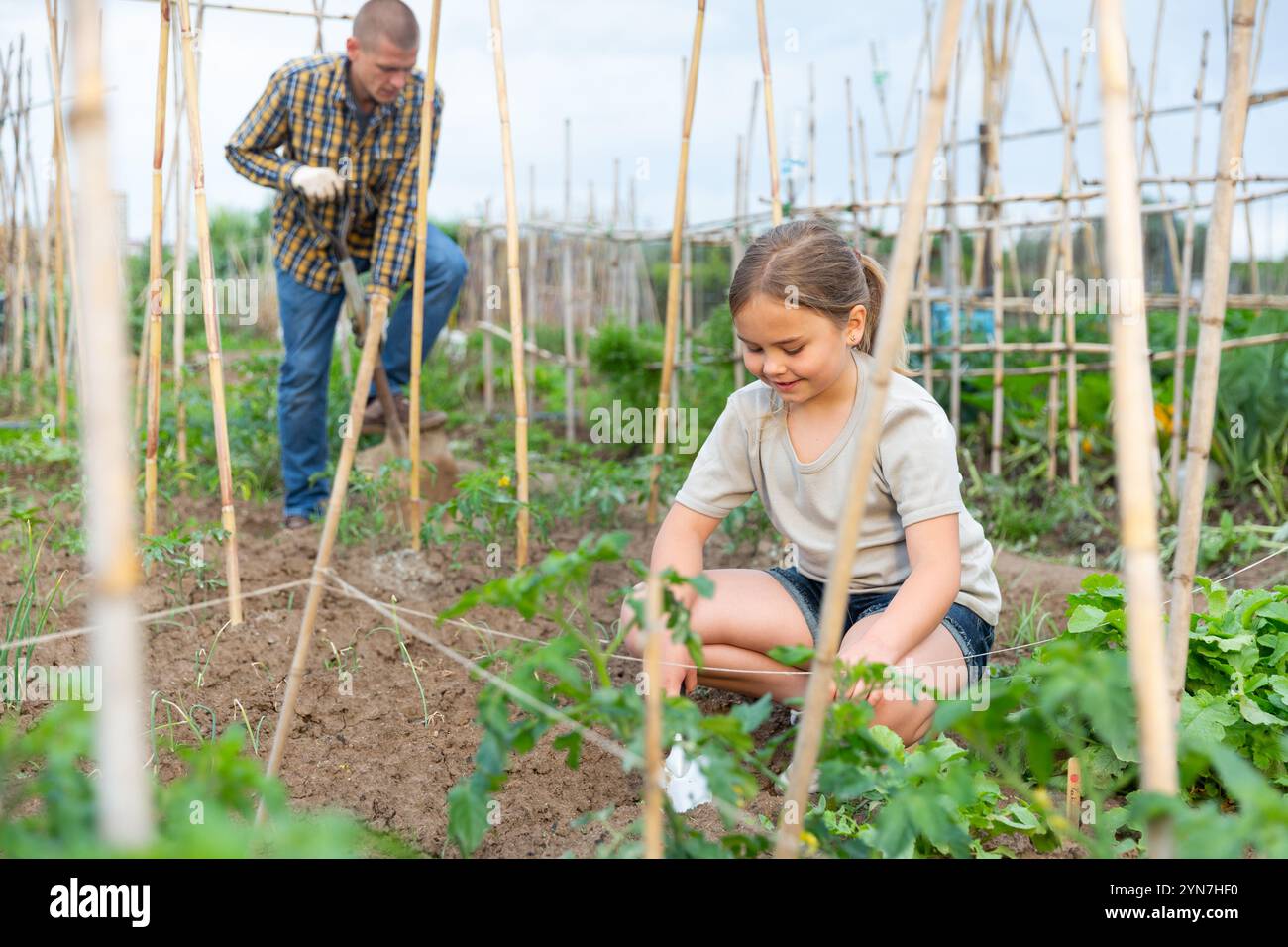 Father and daughter working in garden Stock Photo - Alamy