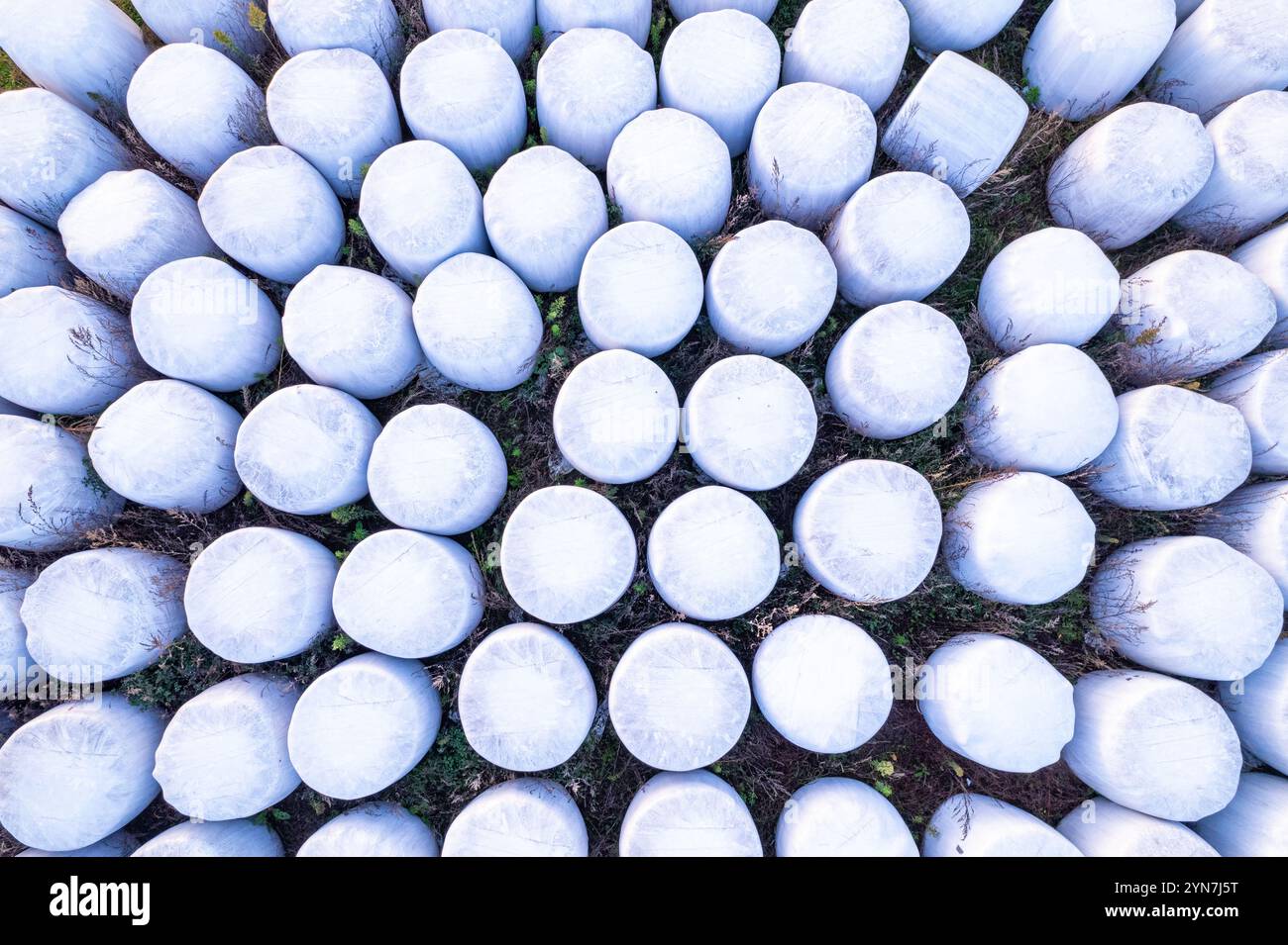 Plastic straw top view hi-res stock photography and images - Alamy