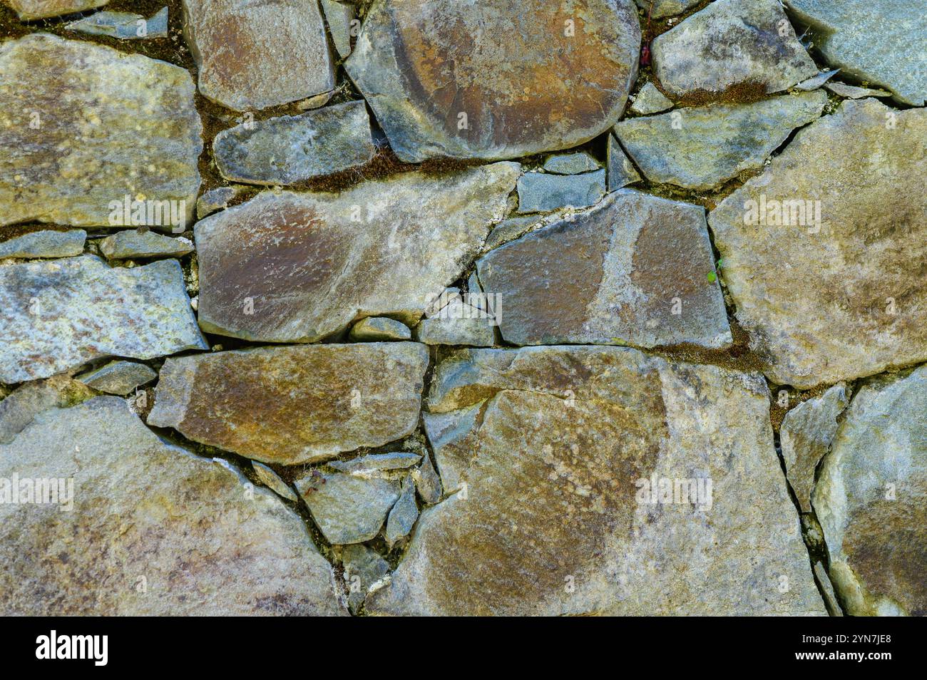 Discover a stone wall beauty, featuring earthy colors and unique ...