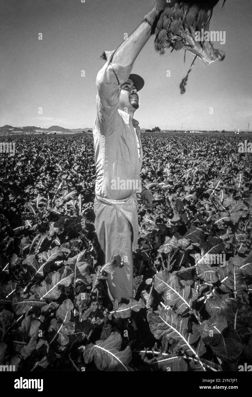 Mexican vegetable farm Black and White Stock Photos & Images - Alamy