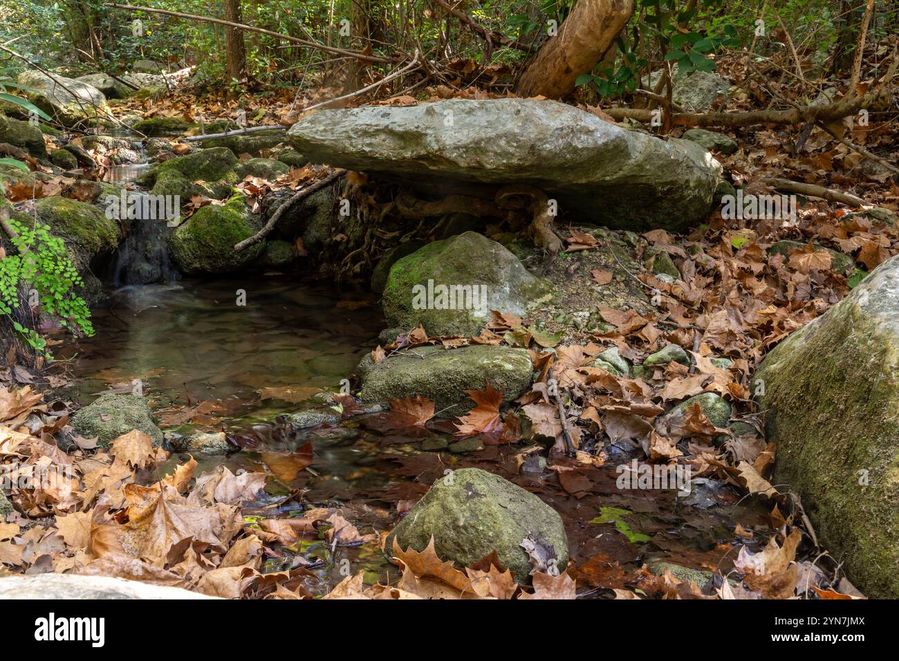 River Place Nature Trail, Austin, Texas, USA Stock Photo - Alamy