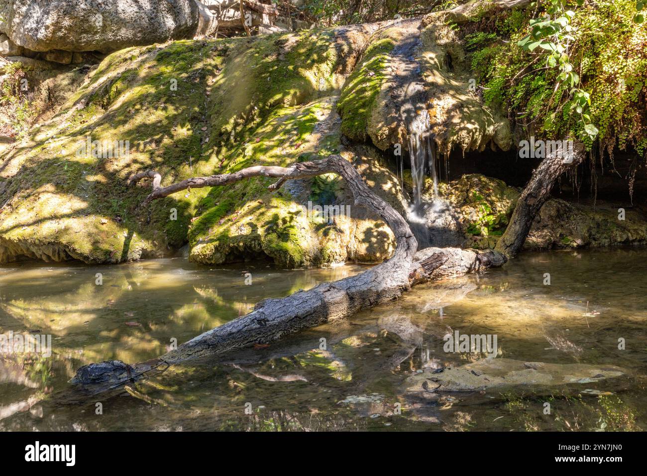 River Place Nature Trail, Austin, Texas, USA Stock Photo - Alamy