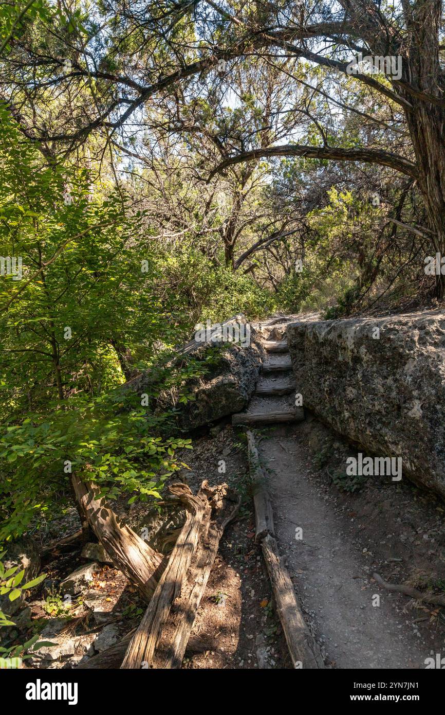 Austin texas vegetation hi-res stock photography and images - Alamy