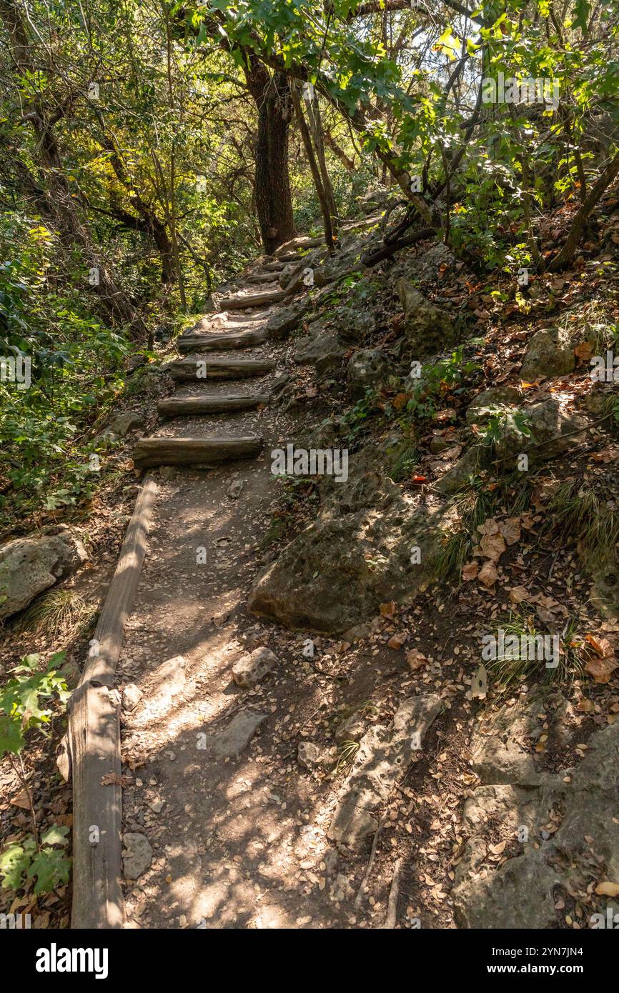 Austin texas vegetation hi-res stock photography and images - Alamy