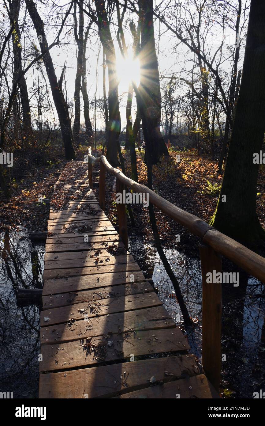 Rustic wooden boardwalk through hi-res stock photography and images - Alamy