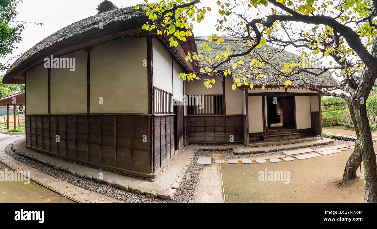 Traditional Japanese house with thatched roof and surrounding garden in ...
