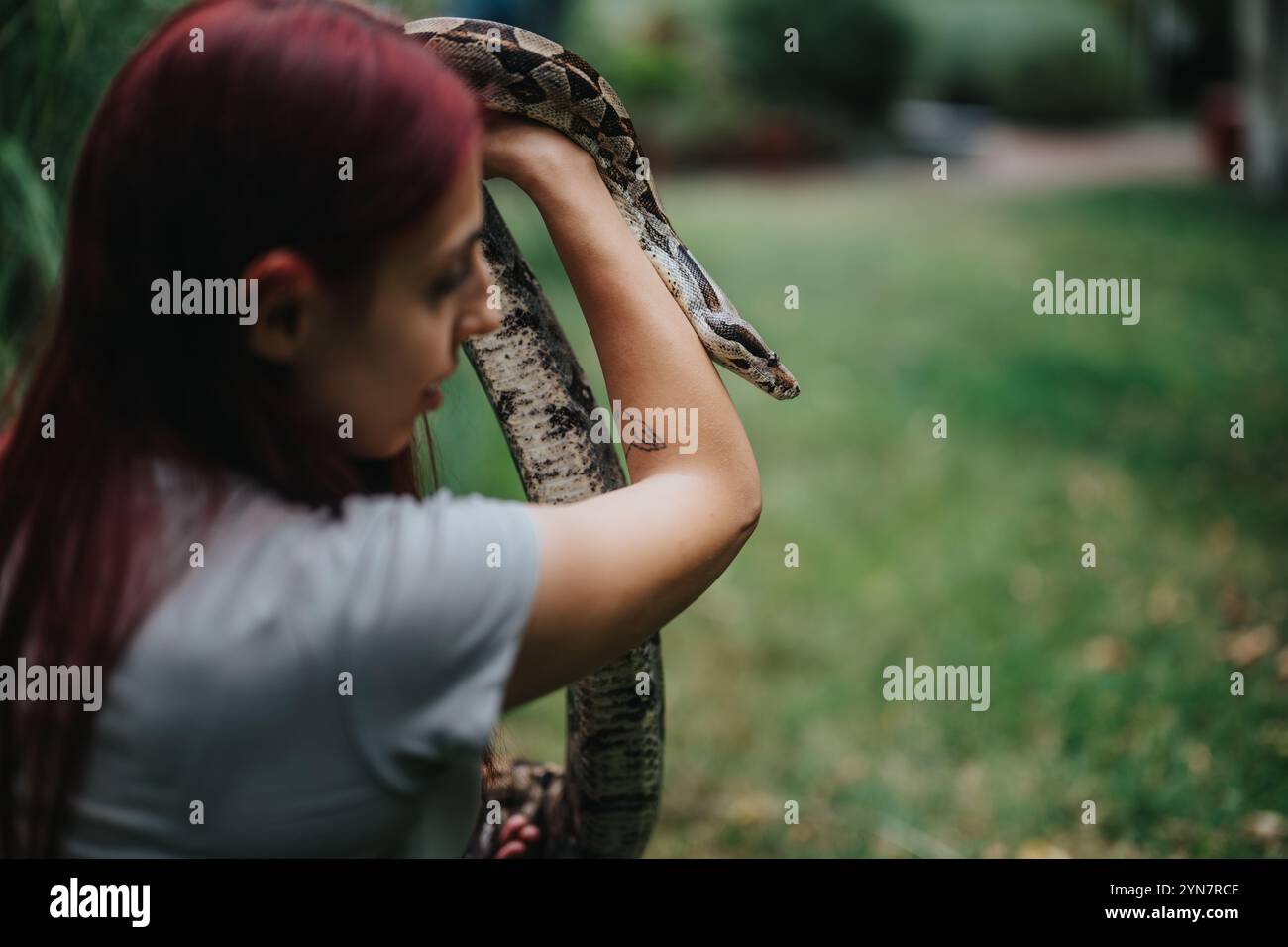 Girl interacting with snake in outdoor green setting Stock Photo - Alamy