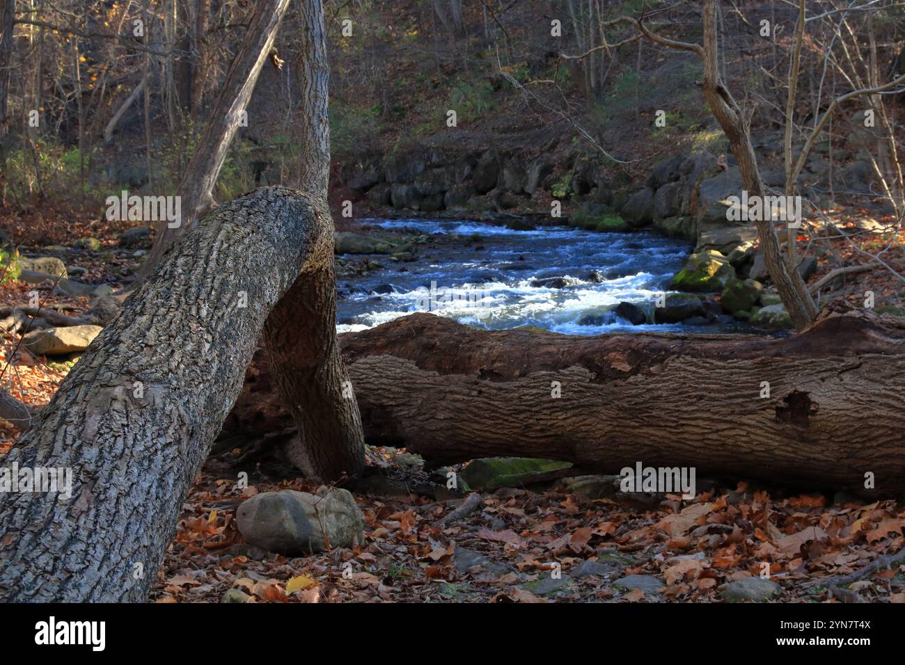 Landscape rapid river fallen tree hi-res stock photography and images ...