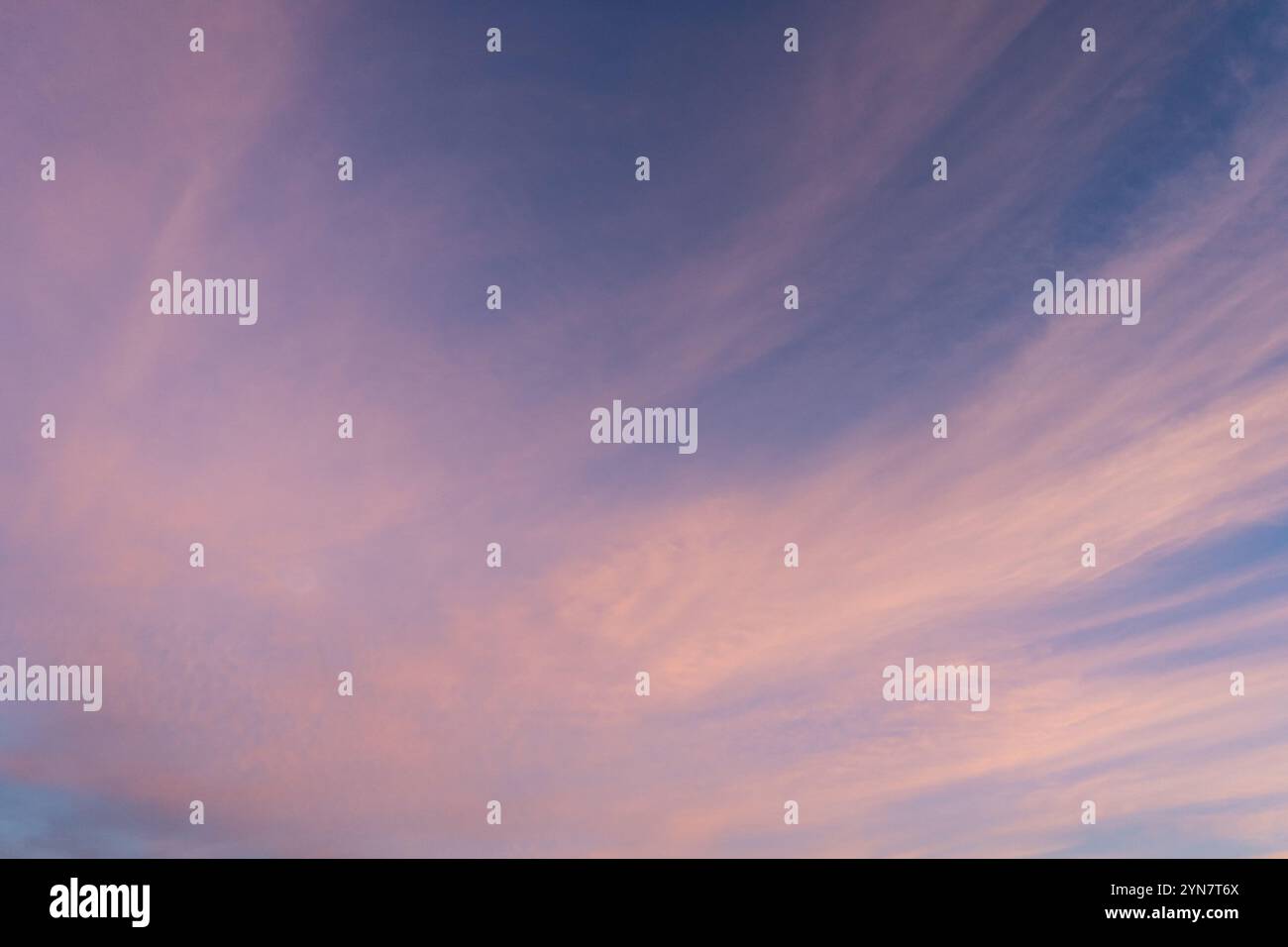 Evening Blue Pink Sky with Clouds Texture Background Stock Photo - Alamy