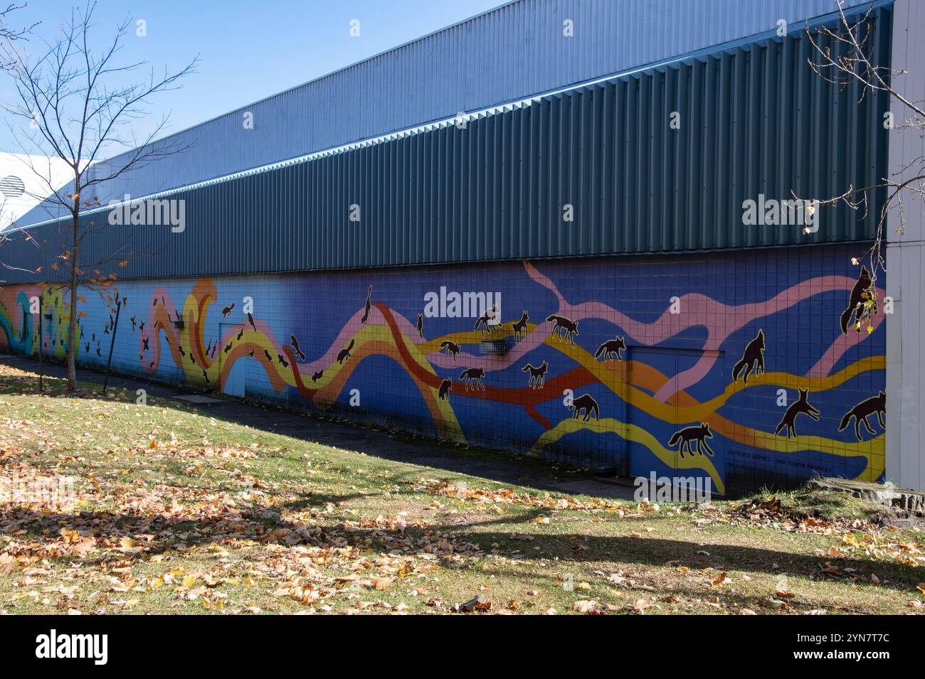 Fox mural at the Variety Village on Danforth Avenue in Scarborough ...