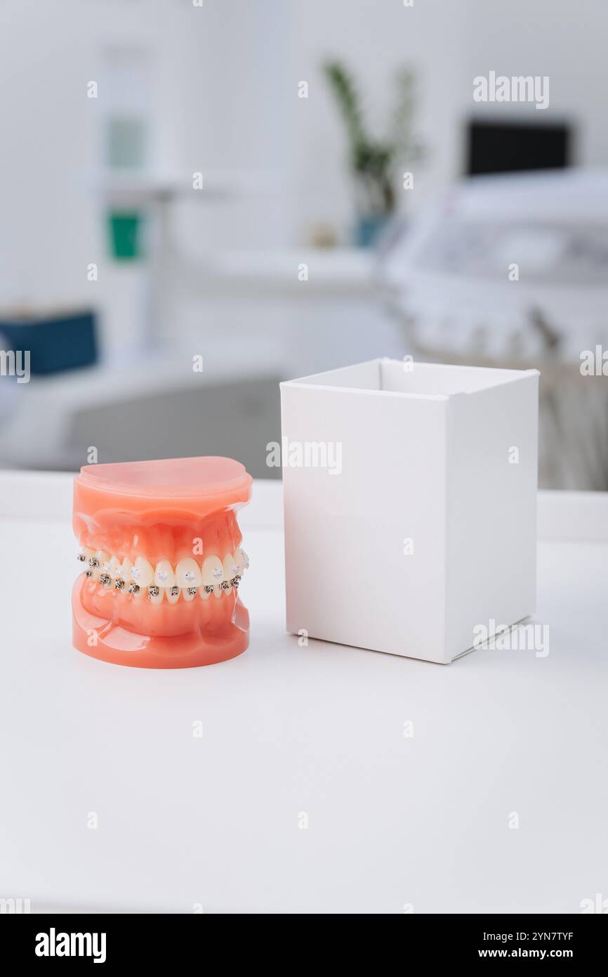 Orthodontic dental model with braces for patient education and ...