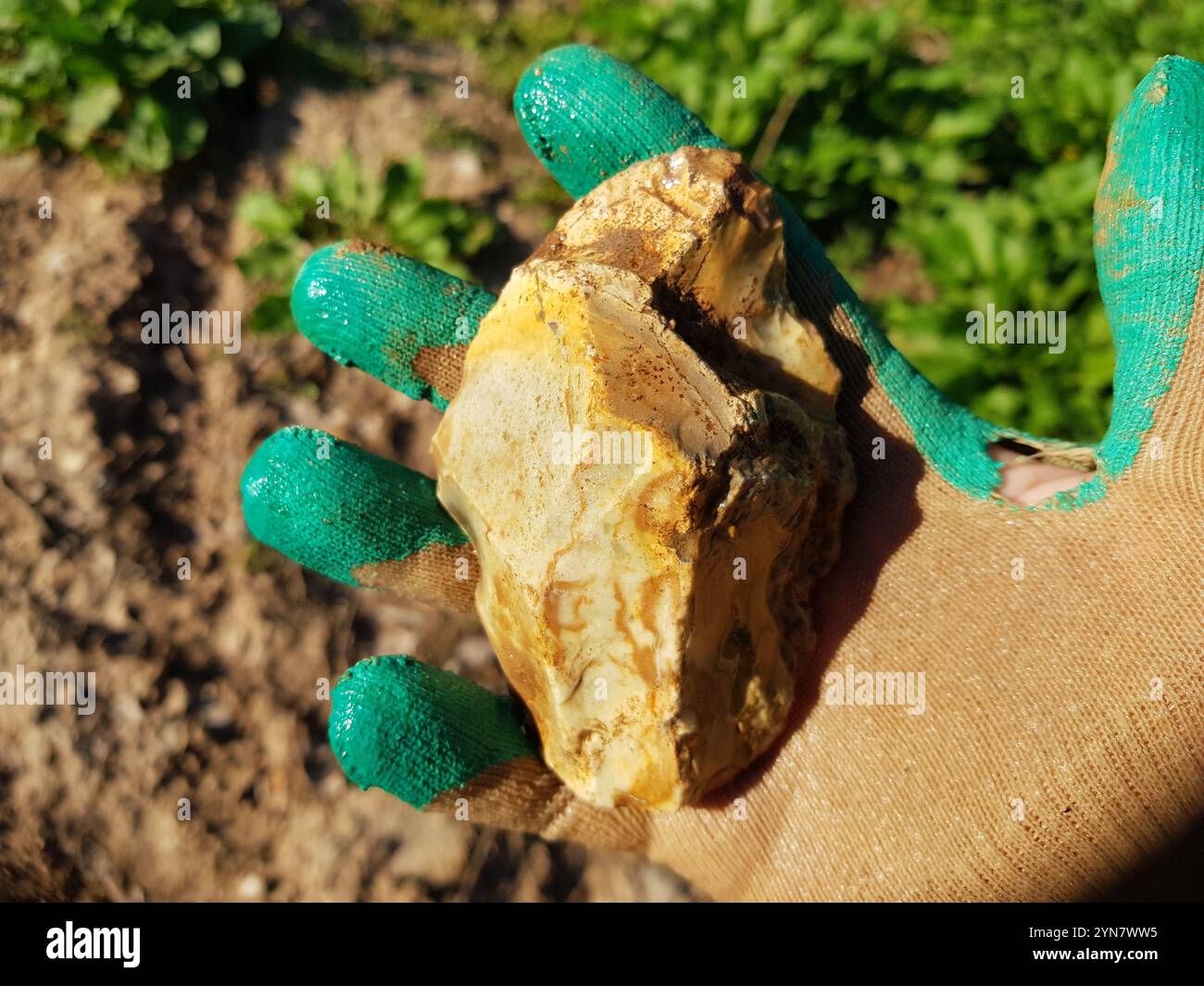 Found in the ground stone flint axe with sharpened edges, tool of ...