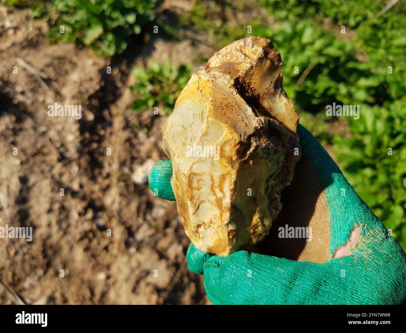 Found in the ground stone flint axe with sharpened edges, tool of ...