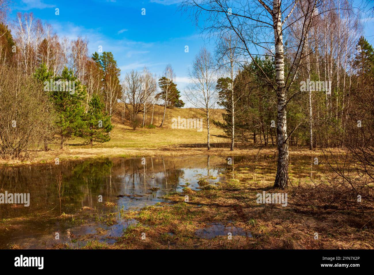 Picturesque spring landscape hi-res stock photography and images - Alamy