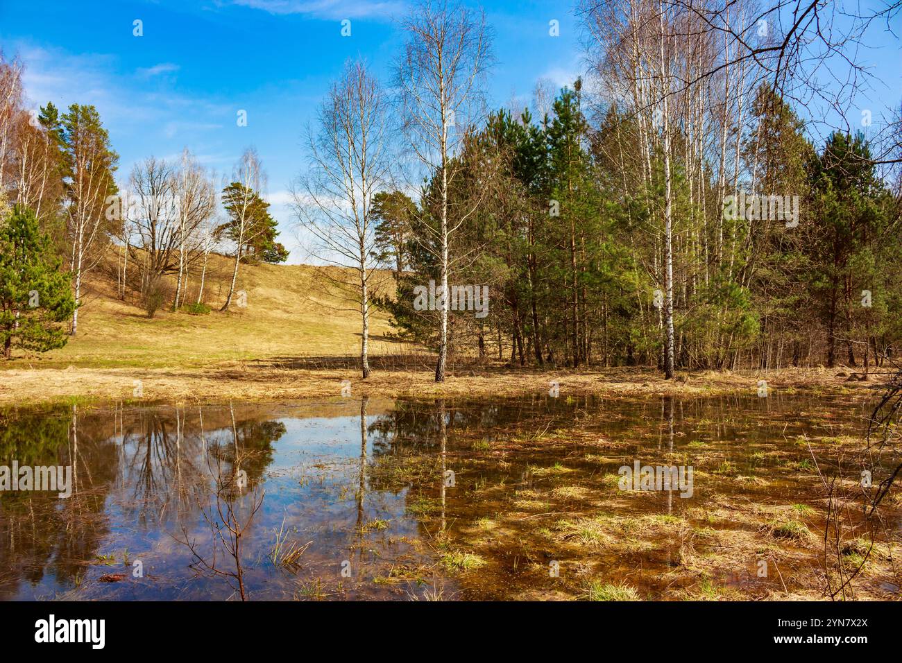 Small lake surrounded hi-res stock photography and images - Alamy