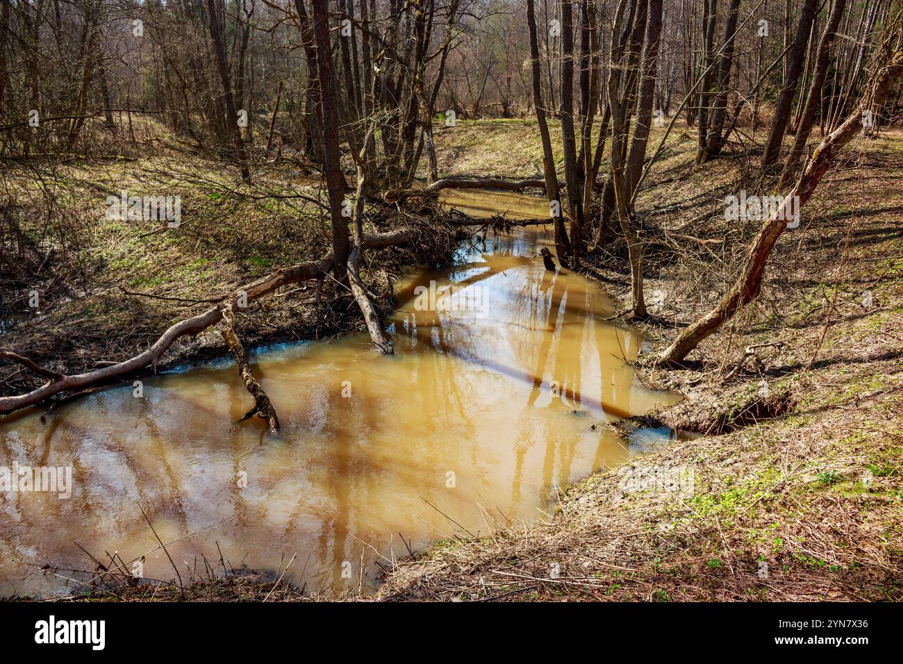 A stream with muddy water running through a flat area in early spring ...