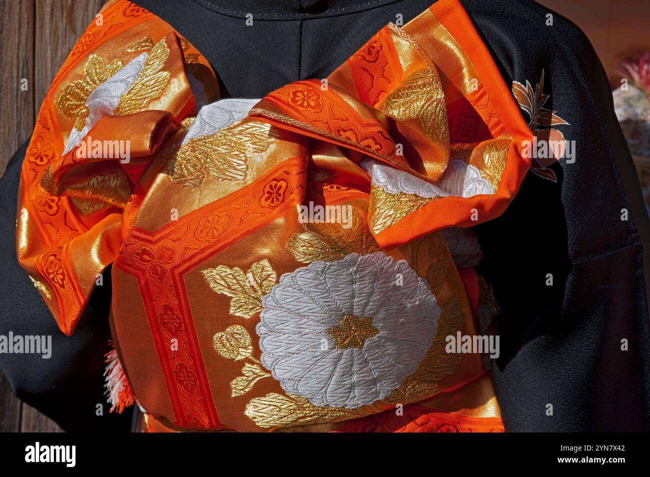 Colorful silk obi (kimono sash) tied behind the back of a woman wearing ...