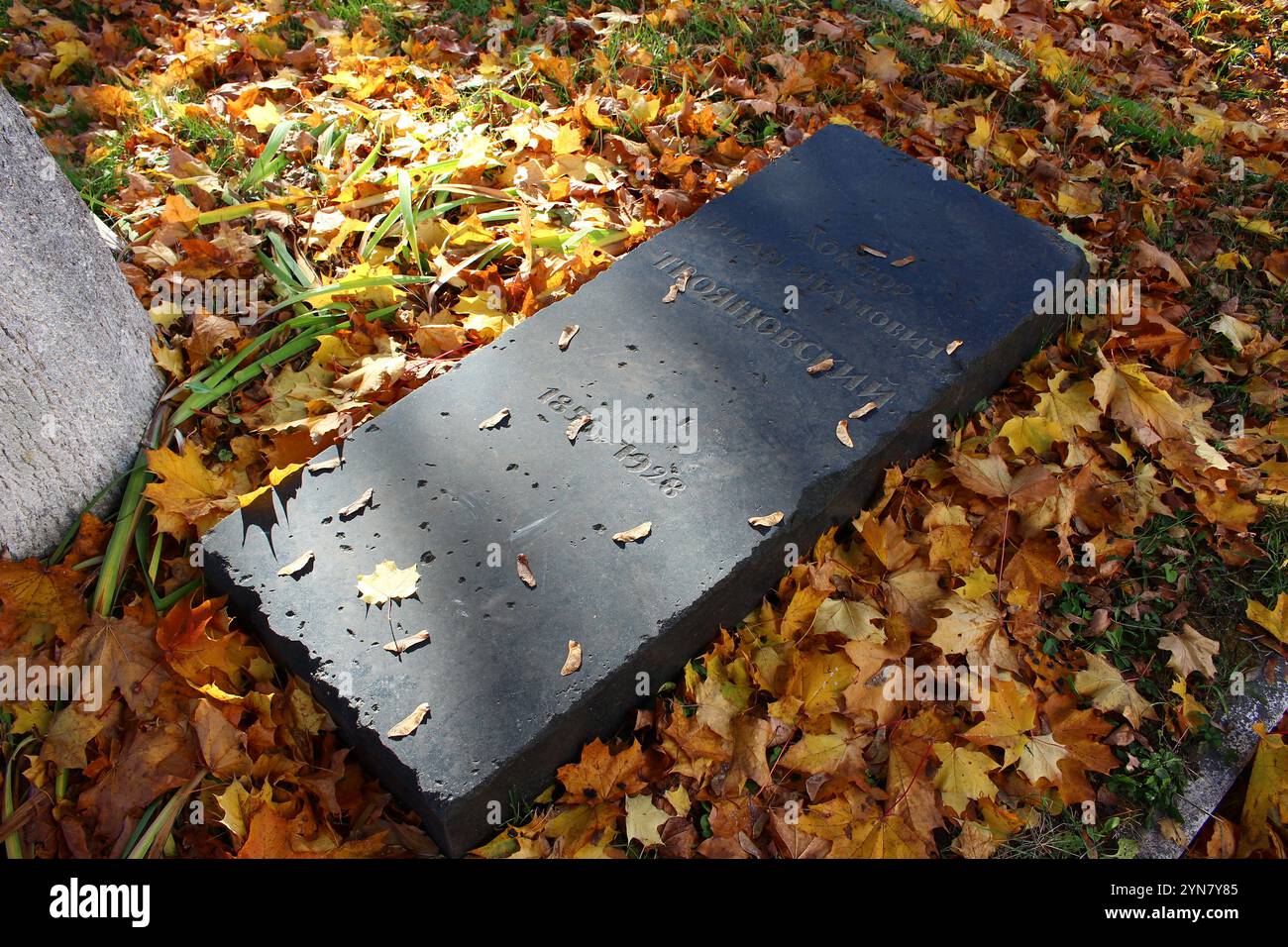 Tombstone over the grave of the famous doctor Ivan Troyanovsky 1855 ...