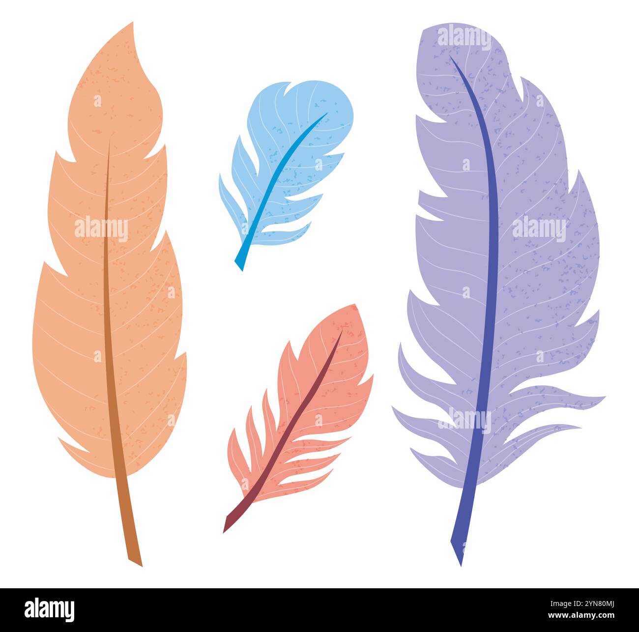 Set of feathers. Indian decoration for clothes. Nib, plume and peacock ...