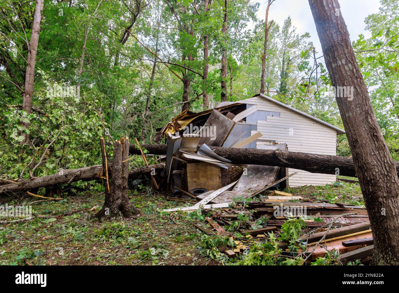 Powerful winds from recent hurricane storm led to significant ...