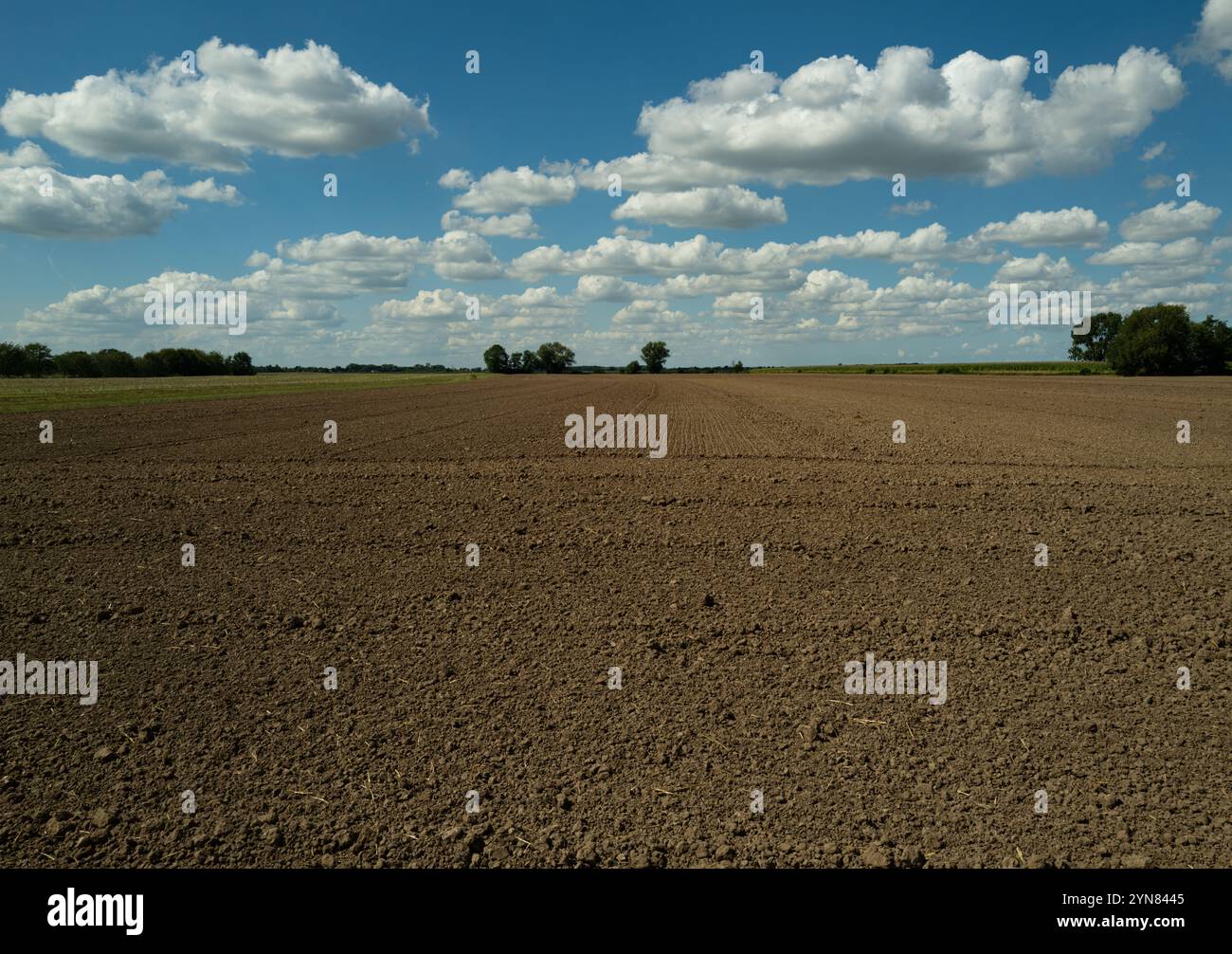 Agriculture concept. Gardening season concept. Texture of fertile soil ...