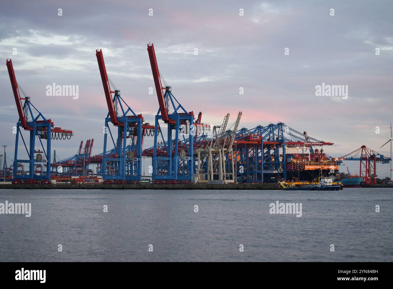 Container terminal in the New York port. Terminal port. Container cargo ...