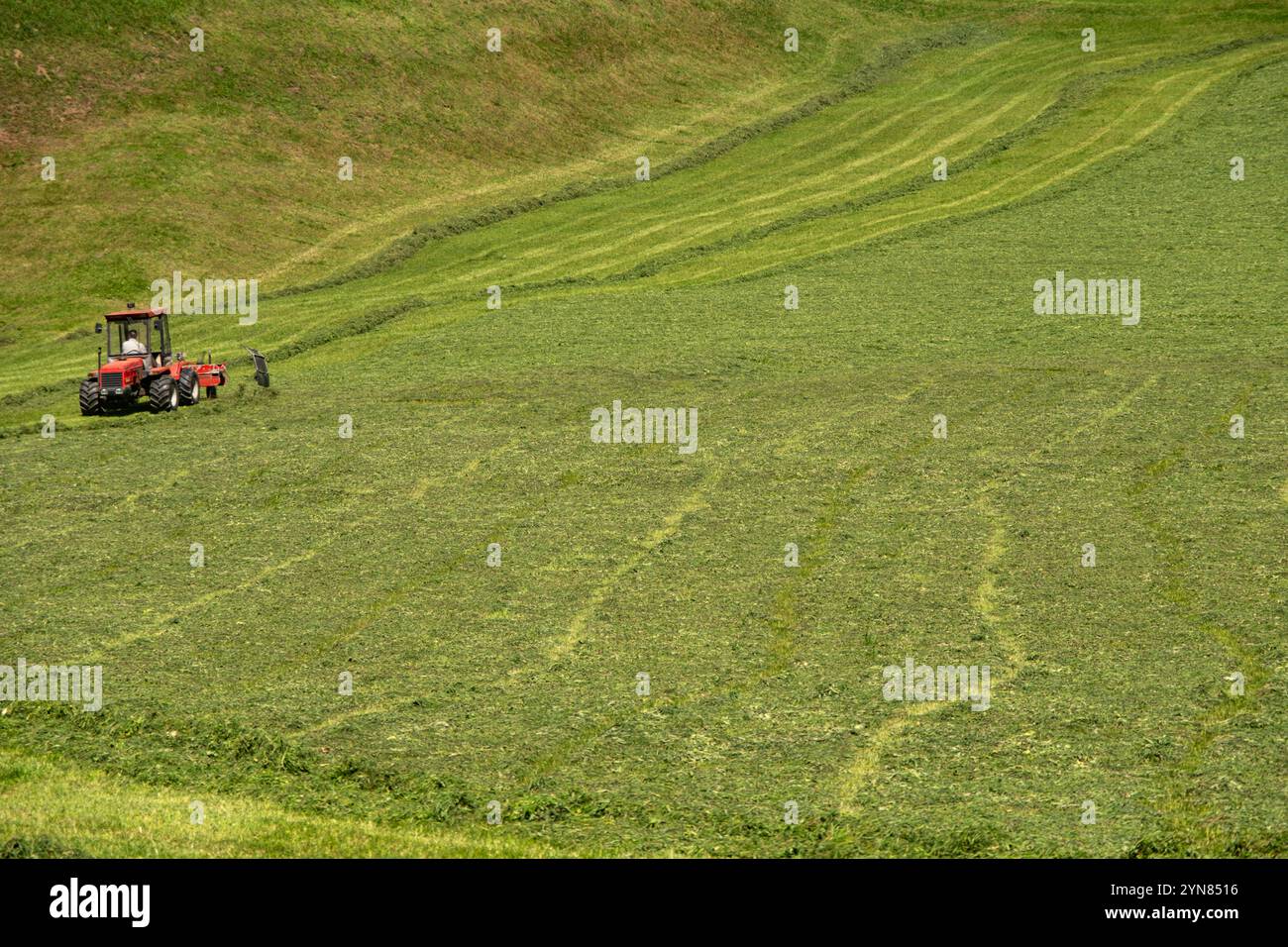 Mowing lawn. Cut grass at field. Before and after. Lawn equipment ...