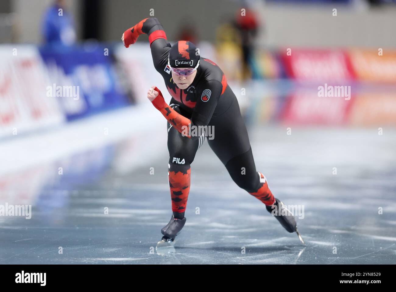 Nagano, Japan. 23rd Nov, 2024. Maddison Pearman (CAN) Speed Skating ...