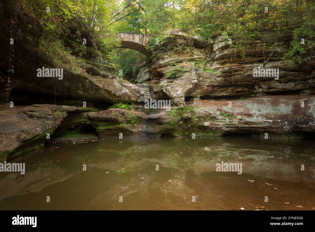 Gatewood park hi-res stock photography and images - Alamy