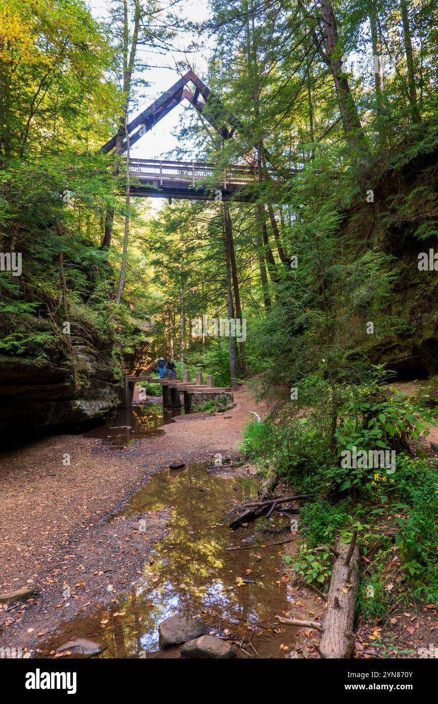 Logan creek state forest hi-res stock photography and images - Alamy