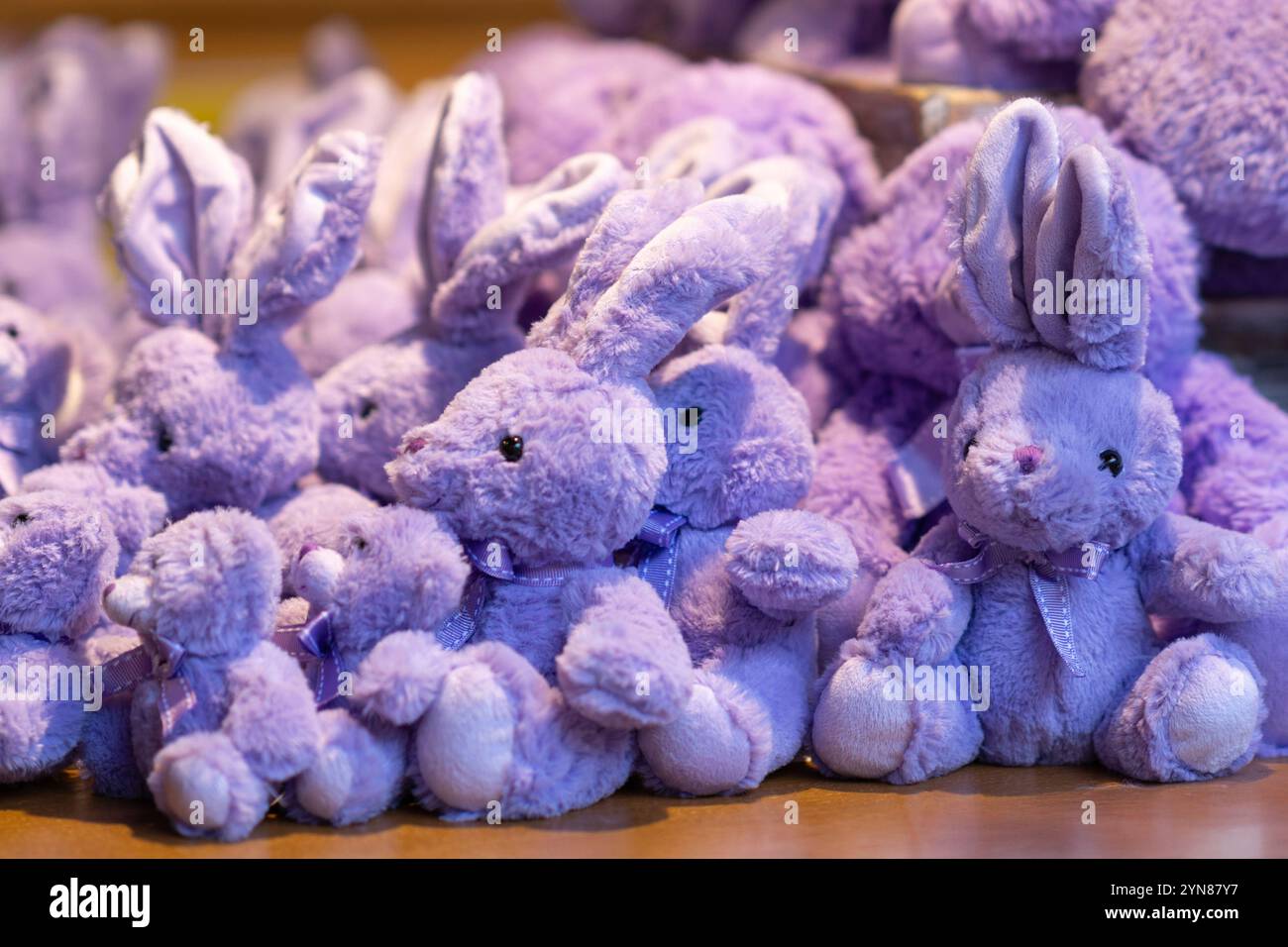 Plush rabbits hi-res stock photography and images - Alamy