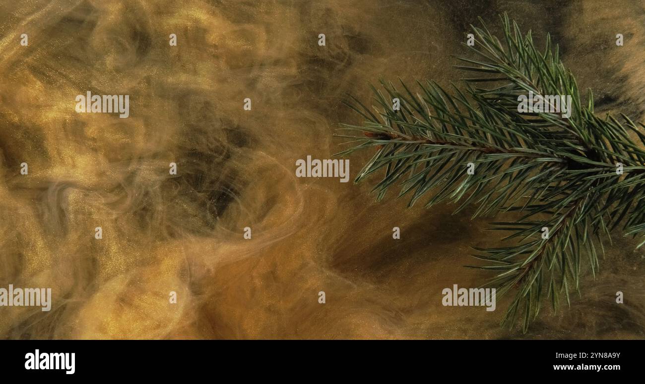 Smoke fir sprig. Paint water drop. Green tree plant in gold color ink ...