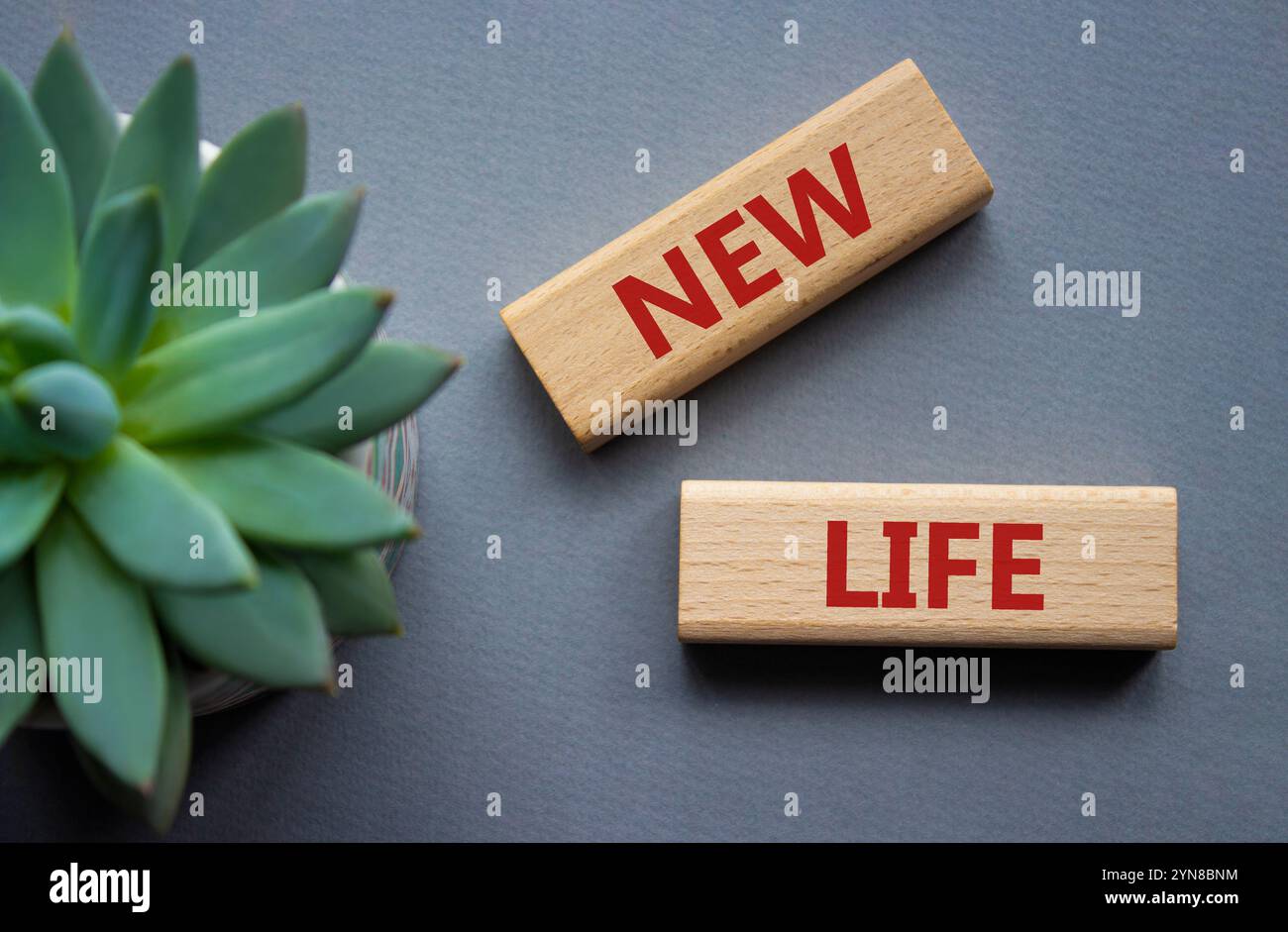 New life symbol. Wooden blocks with words New life. Beautiful grey ...