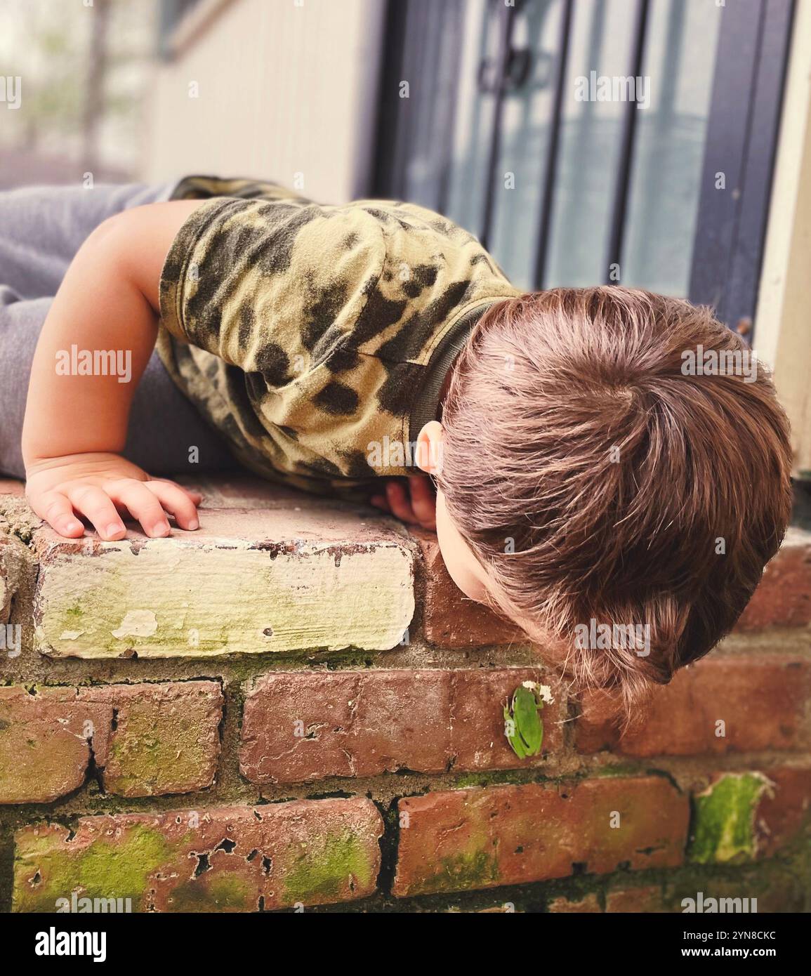 A boy and his frog Stock Photo - Alamy