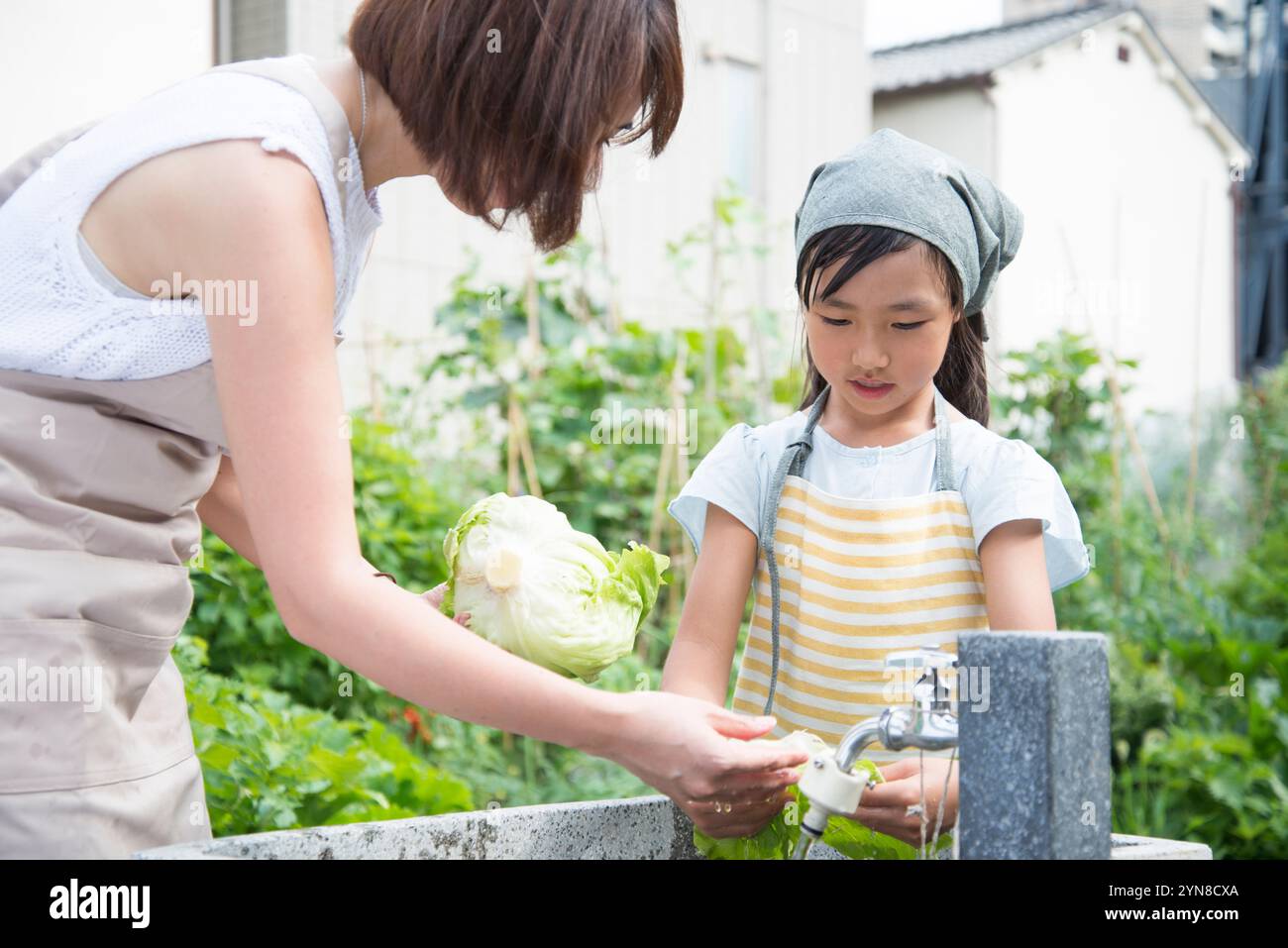 Parent and child washing vegetables Stock Photo - Alamy