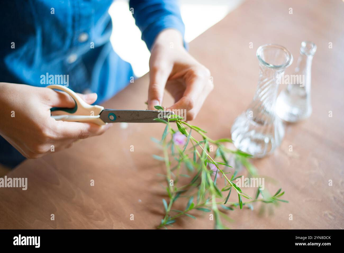 Woman trying to grow green Stock Photo - Alamy