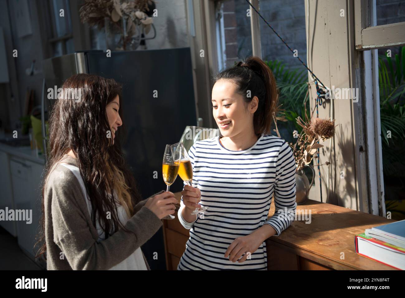 Two women toasting Stock Photo - Alamy