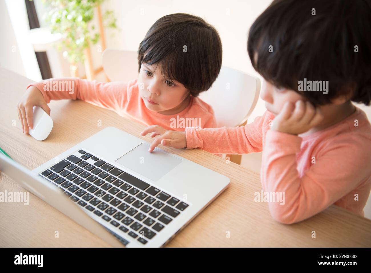 Twin boys operating a computer Stock Photo - Alamy
