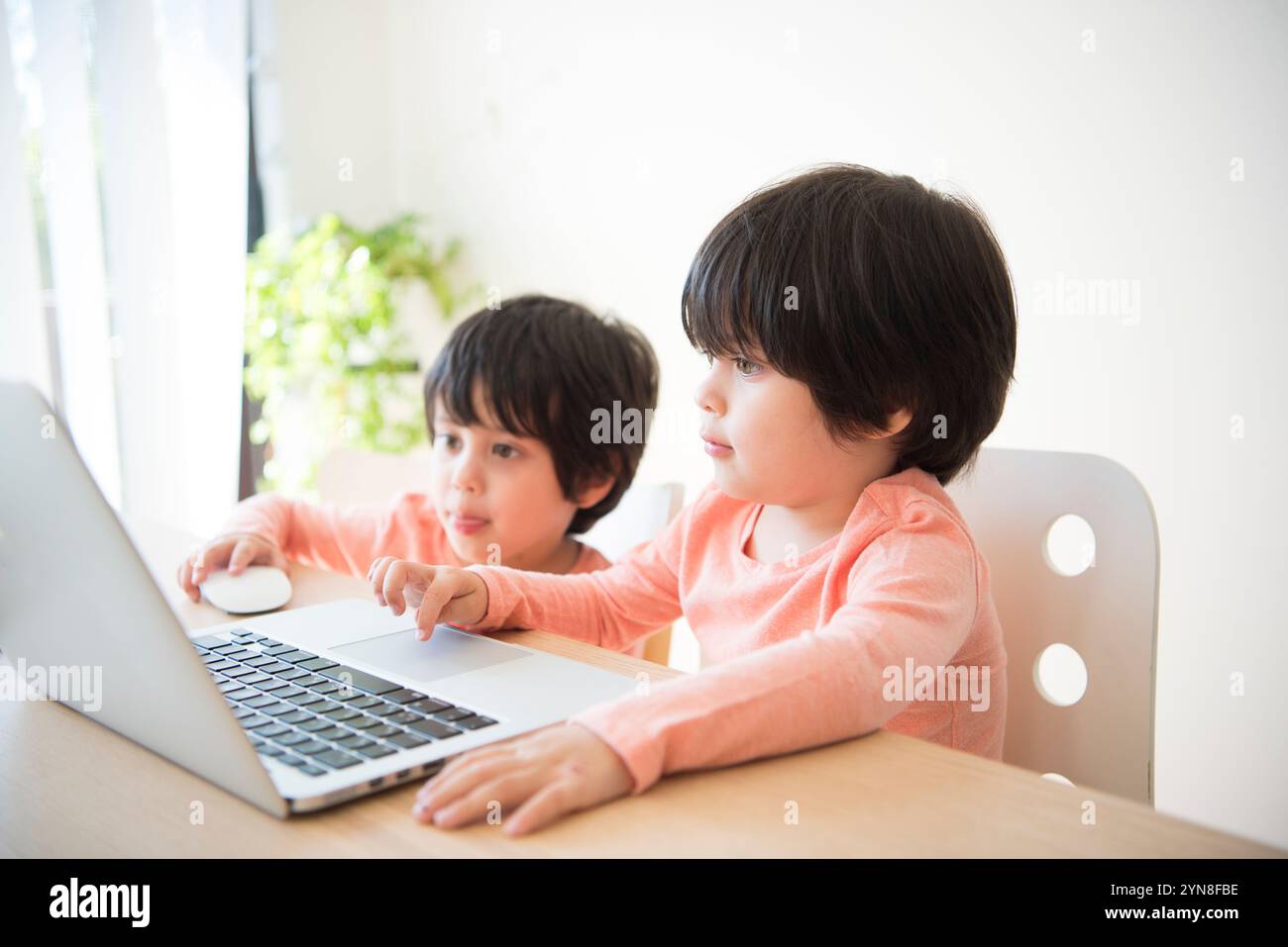Twin boys operating a computer Stock Photo - Alamy