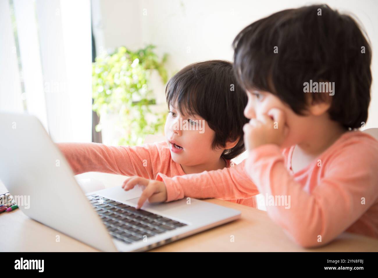 Twin boys operating a computer Stock Photo - Alamy