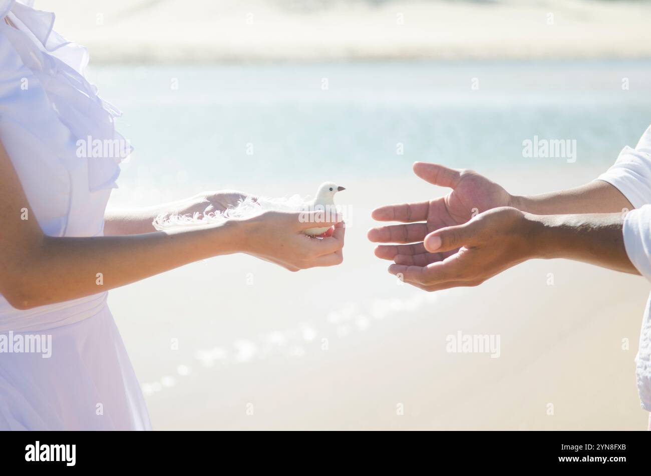 Trying to pass hi-res stock photography and images - Alamy