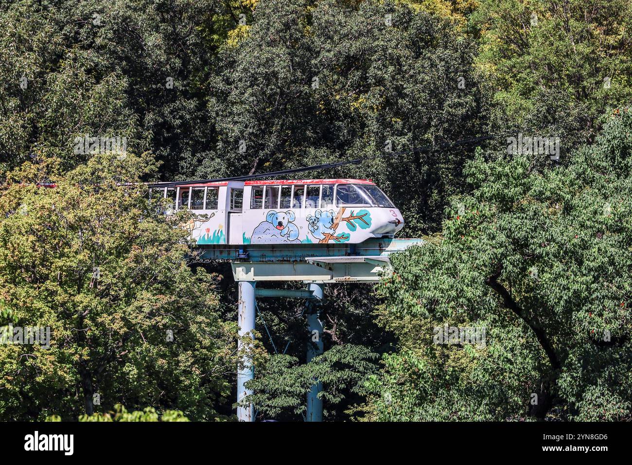 Higashiyama Zoo monorail running through trees Stock Photo - Alamy