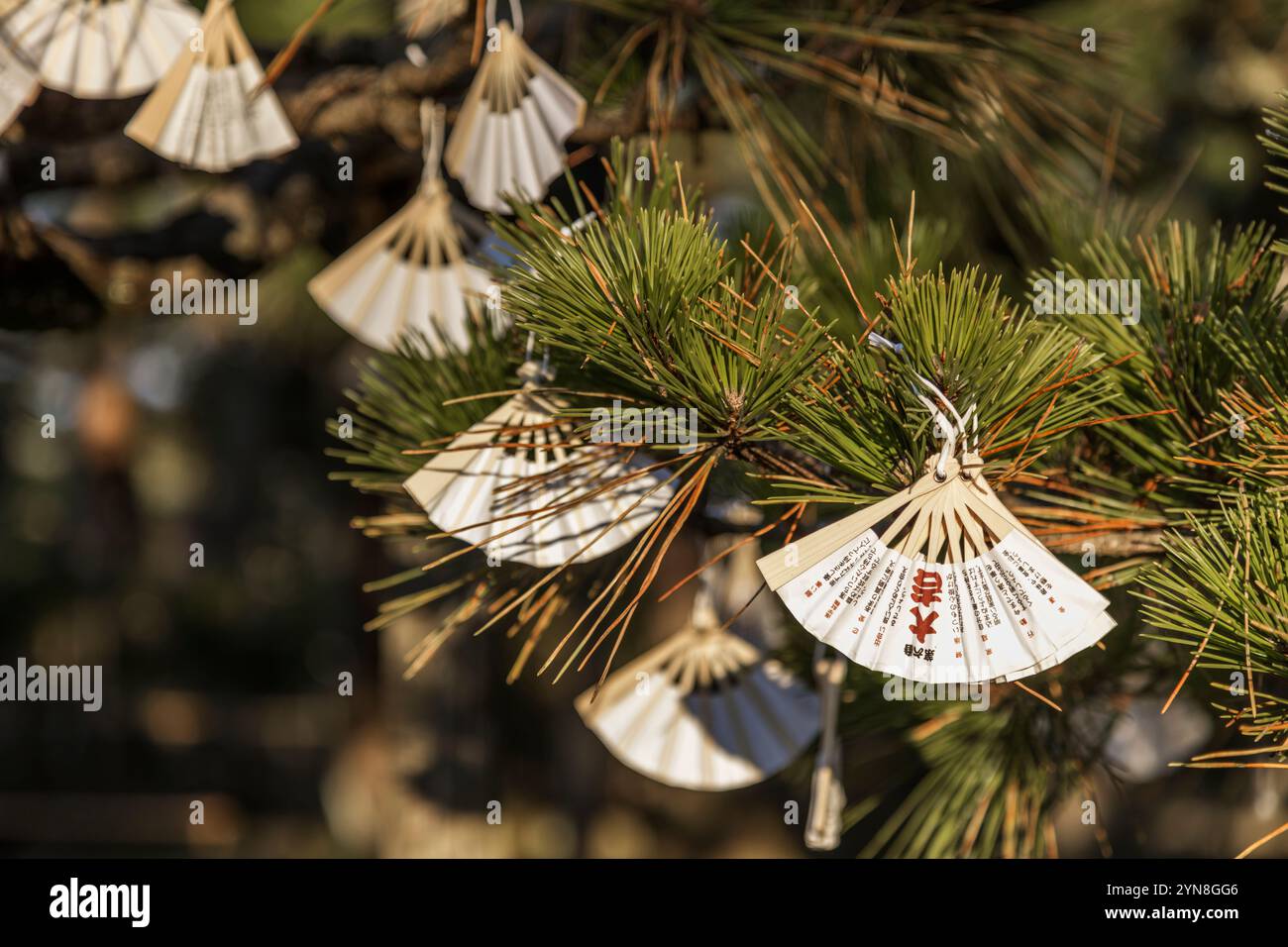 Japanese traditional scenery hi-res stock photography and images - Alamy