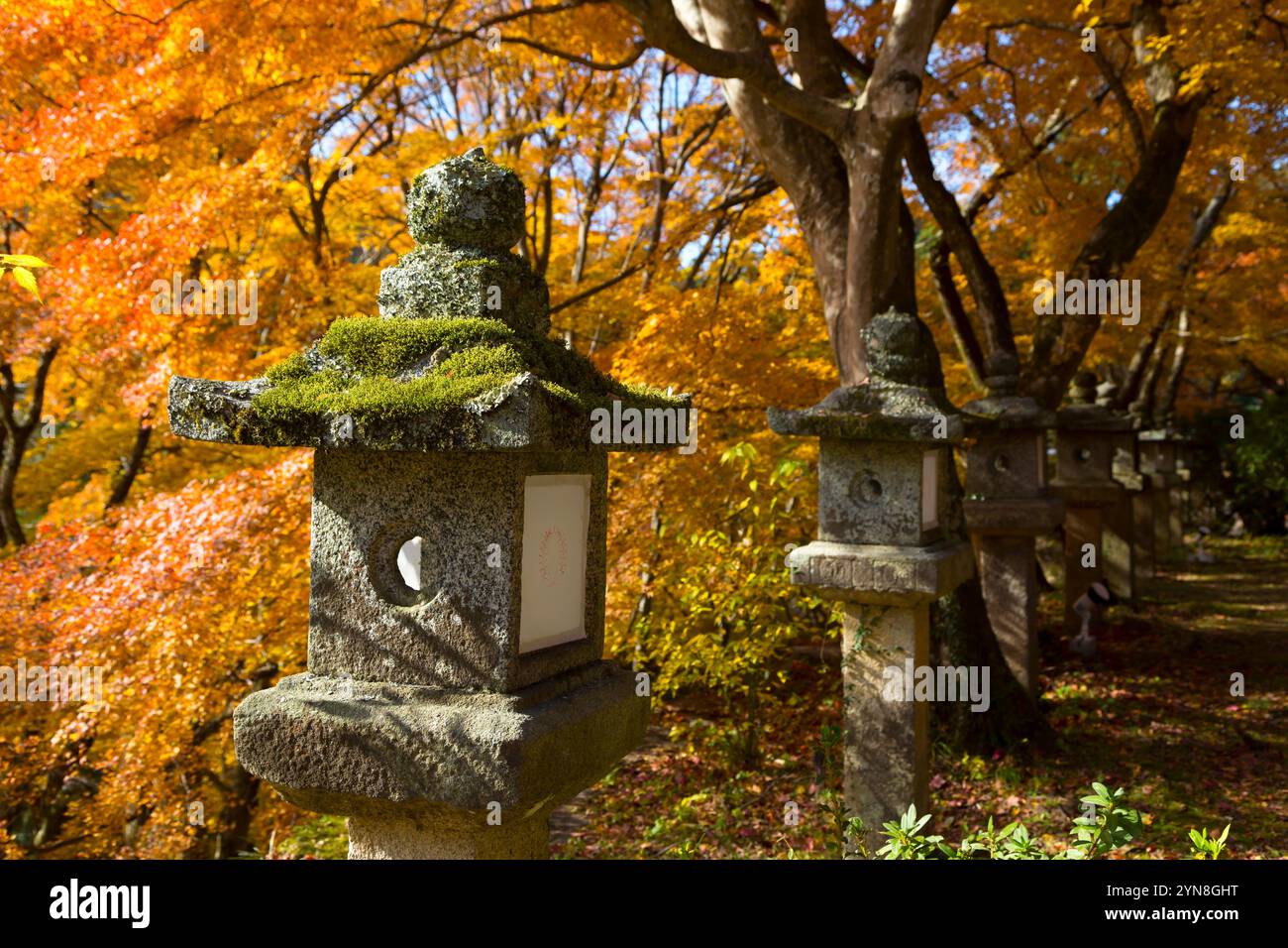 Shrine precincts hi-res stock photography and images - Alamy