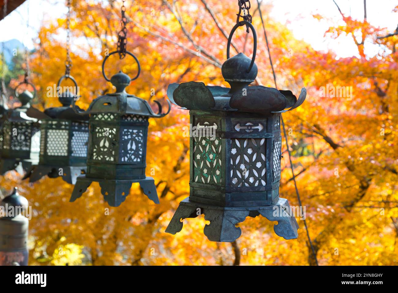 Danzan hi-res stock photography and images - Alamy