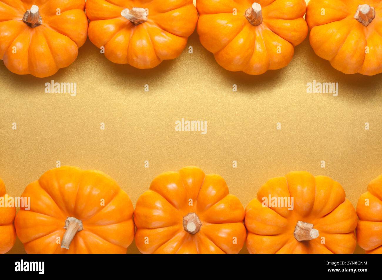 Line up of pumpkins hi-res stock photography and images - Alamy