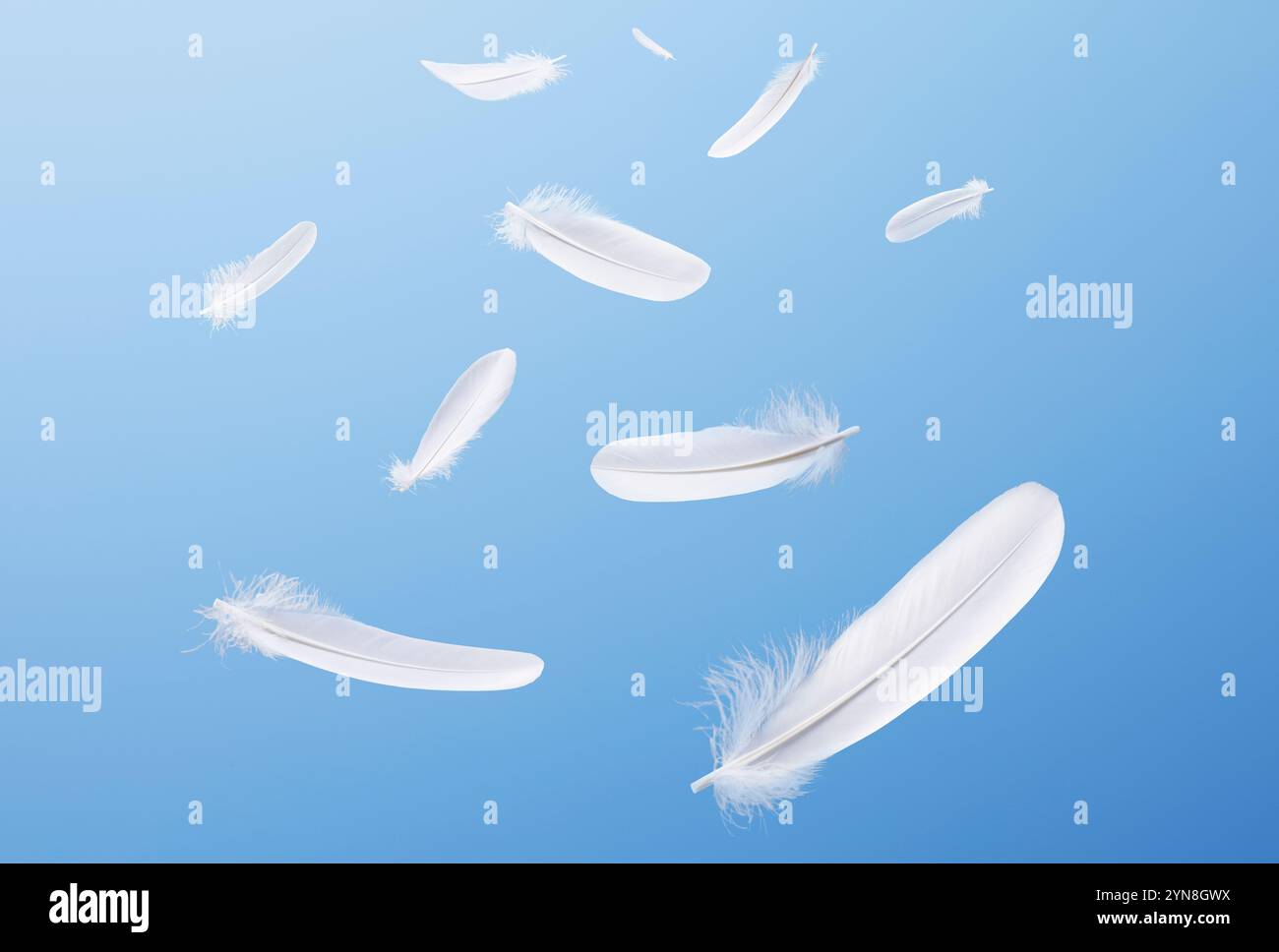 Good luck feather hi-res stock photography and images - Alamy